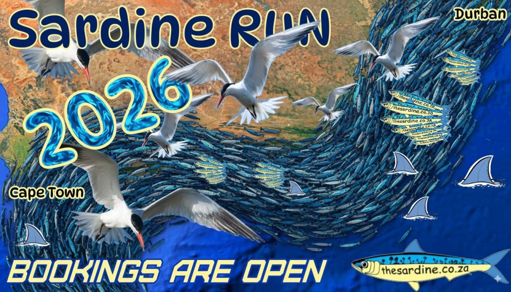 Sardine Run 2026 Package by Umzimkulu Adrenalin