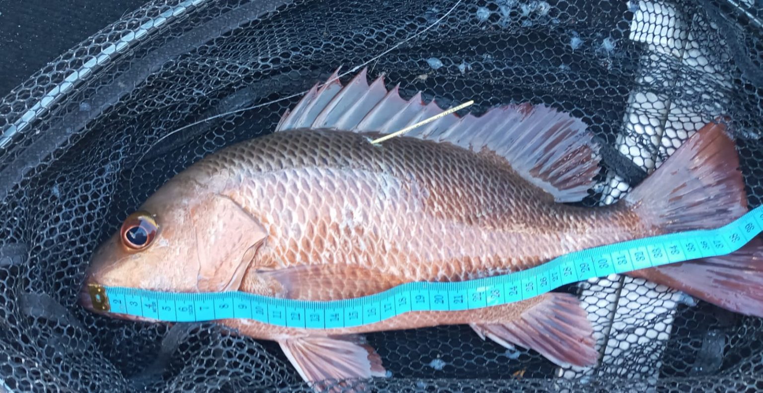 SKZN Winter Estuary Gamefish Package